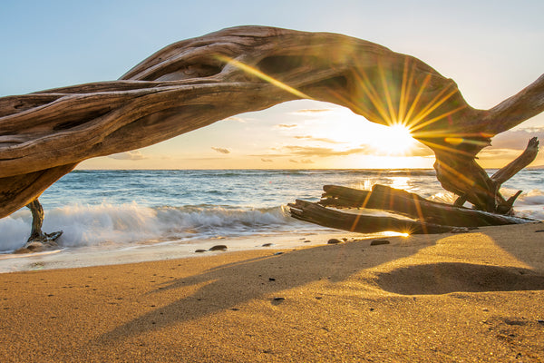 Twisting Arch - Cesere Brothers